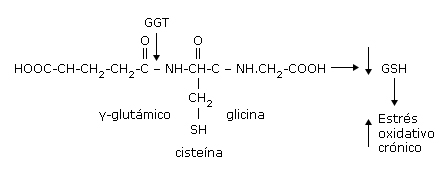 Gamma glutamil transferasa, un marcador de la eficacia clínica del ...