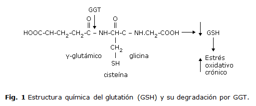 Gamma glutamil transferasa, un marcador de la eficacia clínica del ...